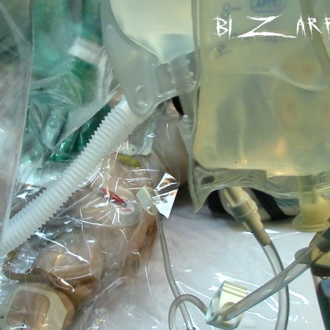 Plastic Surgery Bizarre – digital02.com