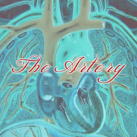 Shop – digital02.com